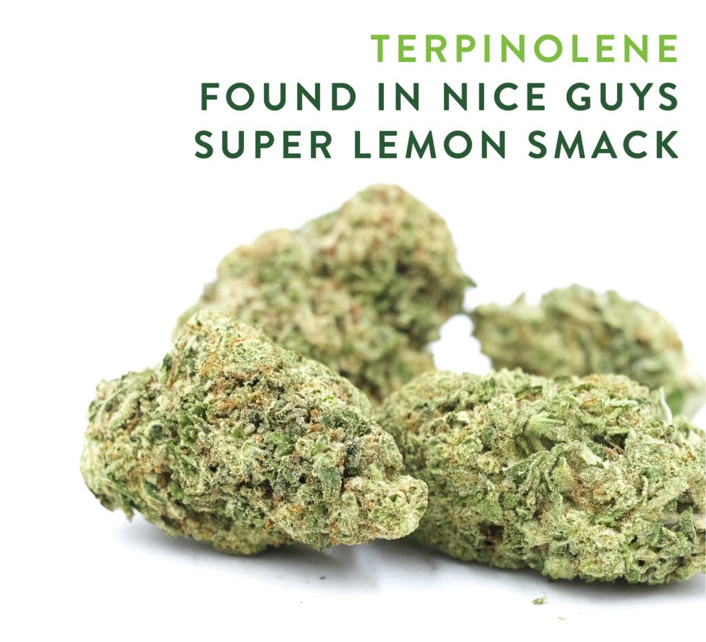 Talkin’ Terpenes