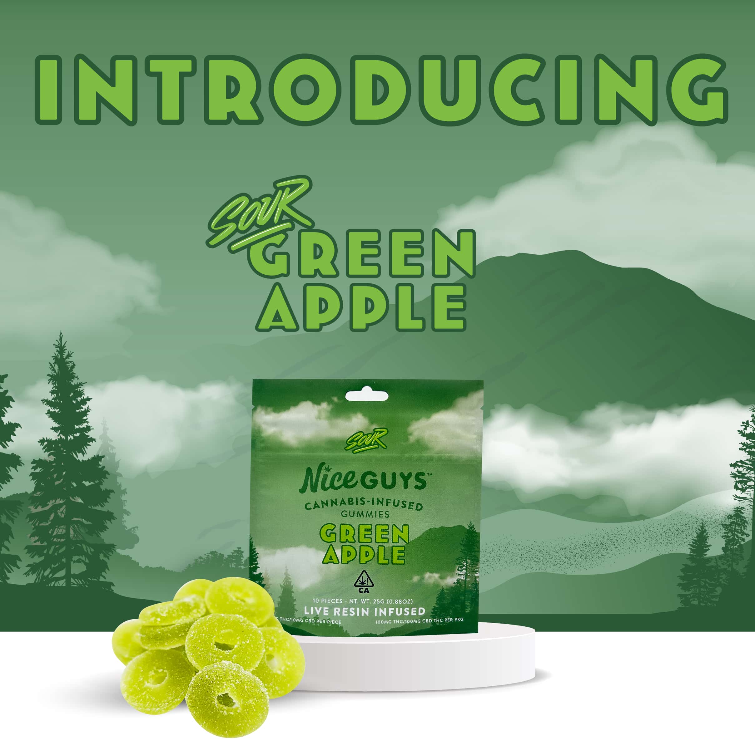 Home • Nice Guys Delivery