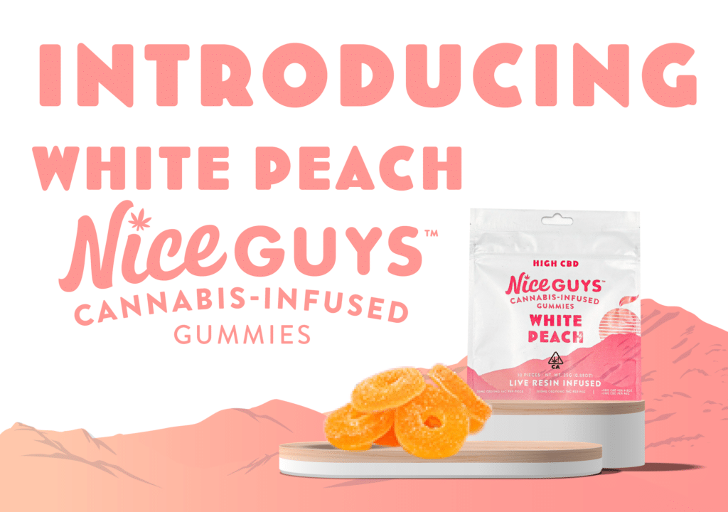 Specials • Nice Guys Delivery